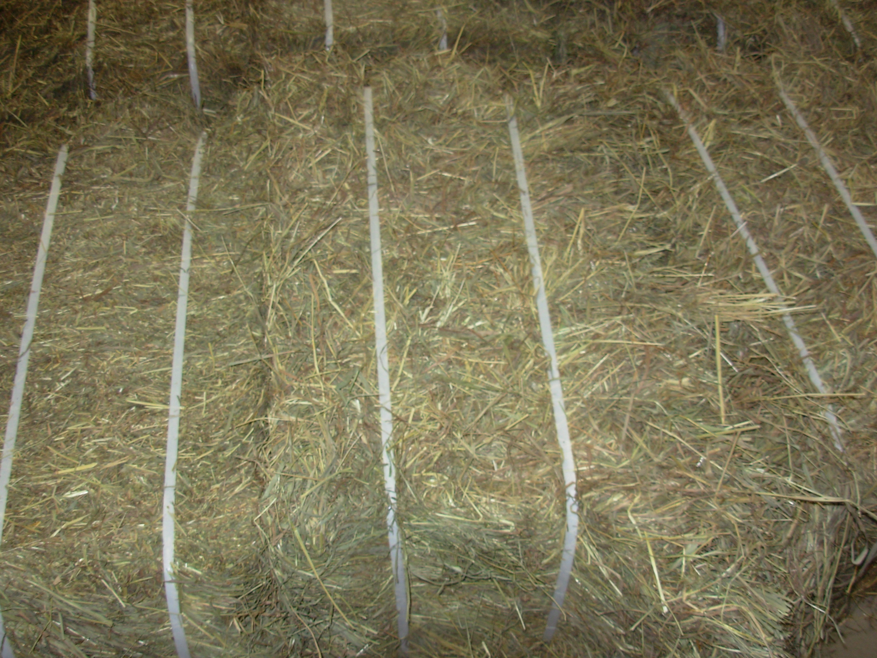 Twin Creek Farm - Types of hay offered